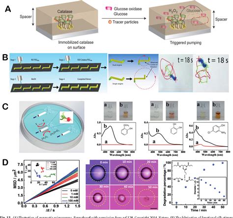 Figure From Fundamentals And Applications Of Enzyme Powered Micro