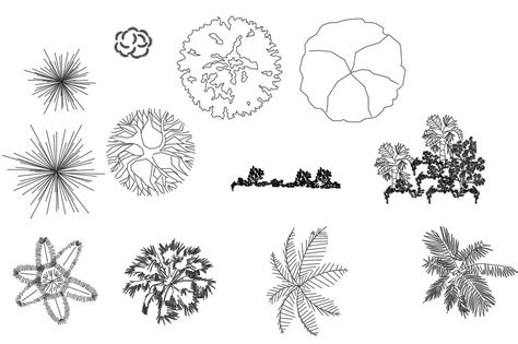 Tree And Plant Top View Cad Blocks Dwg File Cadbull