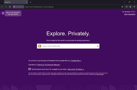 Tor Browser Sicher Wie Gut Ist Der Anonyme Zwiebel Browser
