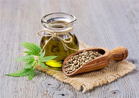 Olio di canapa proprietà e uso Cure Naturali it