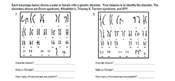 Genetics Reading Karyotypes Practice By Spyglass Biology TpT