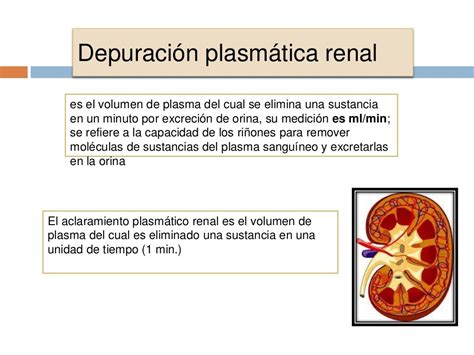 Aclaramiento plasmático renal
