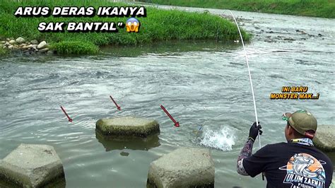 Rejeki Nomplok Mancing Di Arus Deras Dapat Ikan Nila Sak Bantal