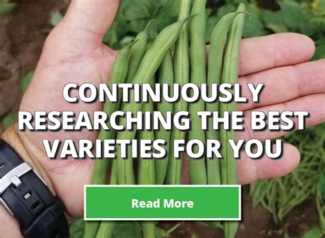 Stokes Seeds Vegetable Seed For Commercial Growers