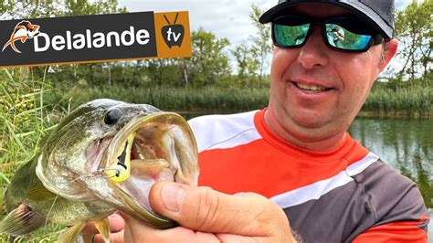 Pêche du Black Bass avec les leurres souples Delalande Zand Finess et