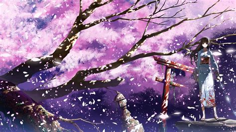 Anime Cherry Blossom K Wallpapers Top Free Anime Cherry Blossom K