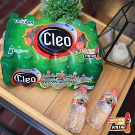 Jual Cleo Smart Cleo Air Minum Botol Mini 24x220 Ml Grab Gojek Only