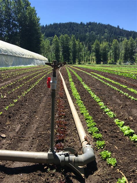 Agricultural Irrigation System Some Surprising Facts And Types Of Pipes