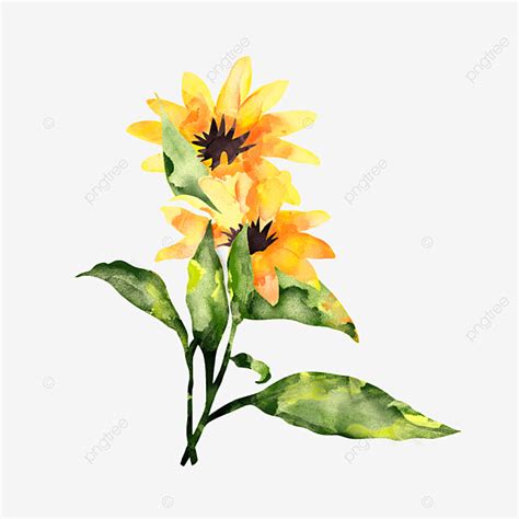 Hand Painted Watercolor Clipart Transparent PNG Hd Hand Painted