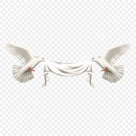 Peace Dove PNG Transparent Two Realistic Peace Doves And Banner