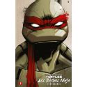 TMNT Tortues Ninja intégrale Tome 1 Hi Comics Excalibur Comics