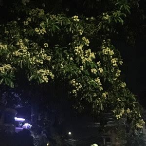 Playlist By Cami Spotify