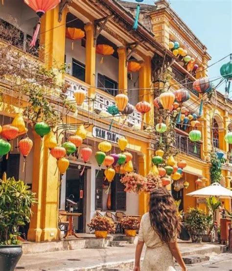 Tour Cù Lao Chàm Ngô Đồng Travel nhà tổ chức trực tiếp