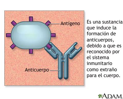 Todo Lo Que Necesitas Saber Sobre Ant Genos Definici N Y Ejemplos