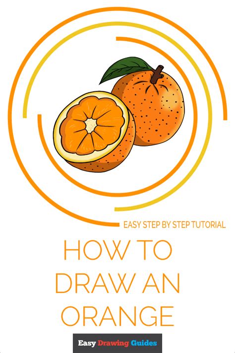How To Draw An Orange Really Easy Drawing Tutorial