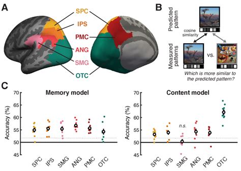 prediction accuracy for the memory based and content based voxel wise download scientific