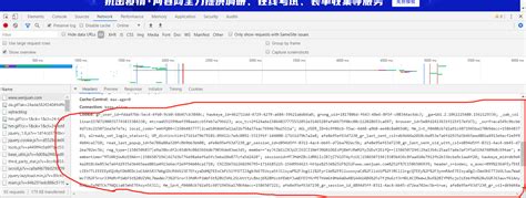 python爬虫练习，cookie的设置方法1：直接获取cookie值 爬取csdn cook配置 csdn博客