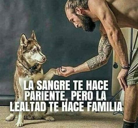 Pin de MELCHIZEDEK HALLELUYAH מלכיצד en SANANDO Motivacion frases