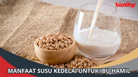 Manfaat Susu Kedelai Untuk Ibu Hamil Simak Biotifor