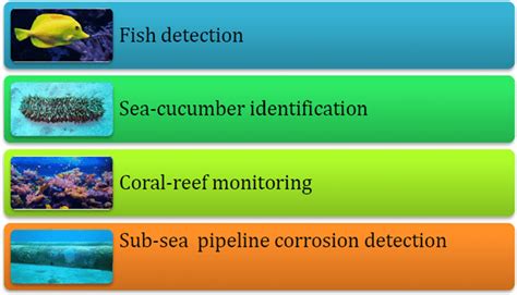 application areas of underwater image processing download scientific diagram