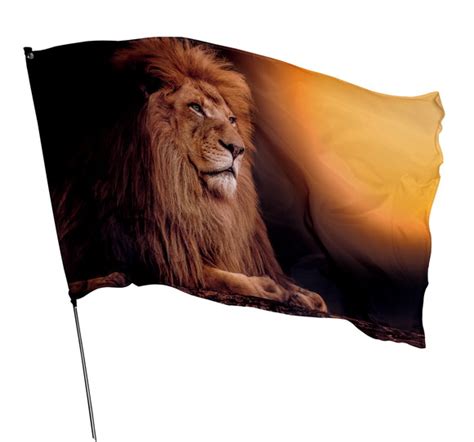 Bandeira Leão Da Tribo De Judá 1 50m X 1m Lj02 Elo7