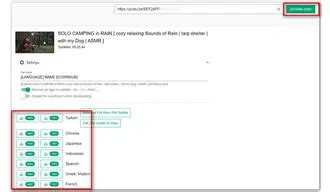 Simple Guide How To Extract Subtitles From YouTube Video