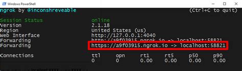 Guide Ngrok In Windows Visual Studio And IIS Express Twilio