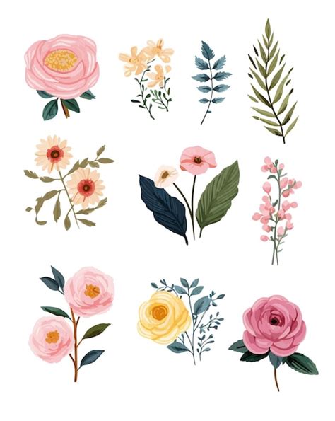 Acuarela colección ramo floral Vector Premium
