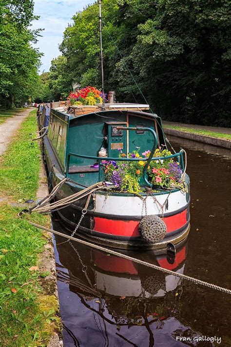 Narrow Boats Llangollen Canal Canal Boat Narrowboat House Boat