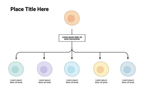 Cell Differentiation Layout BioRender Science Templates