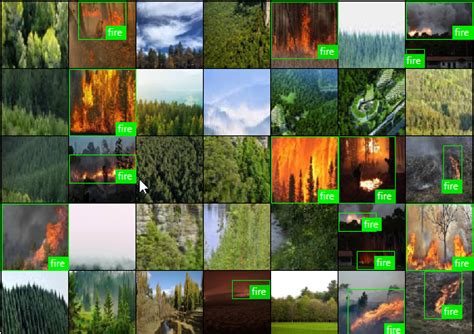 wildfire bushfire detection by ai machine learning