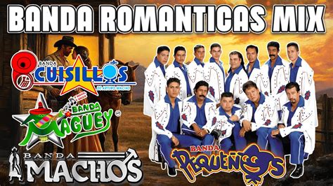 Pequeños Musical Cuisillos Banda Machos Maguey y MásLo Mejor de