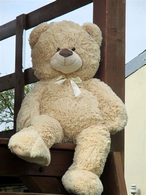 Riesen Teddybär Kuschelbär XXL 100 cm groß Kaufland de