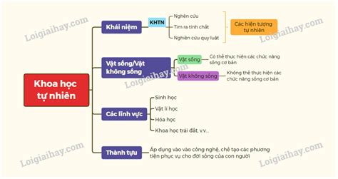 Tổng hợp 1000 vẽ sơ đồ tư duy khoa học tự nhiên và các dự án quan