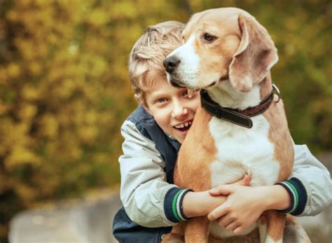 Las 20 Mejores Razas de PERROS para NIÑOS Guía Completa