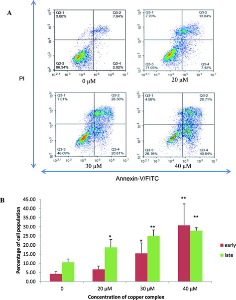 Flow Cytometric Analysis Of Annexin V Staining Cells Were Incubated In