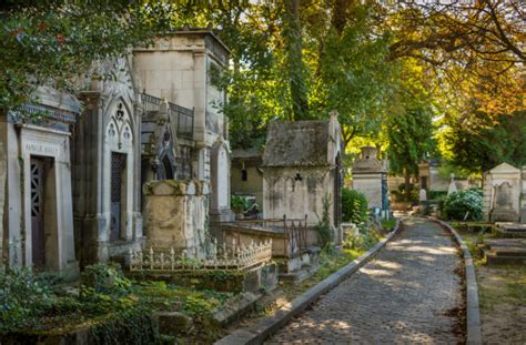 La faune sauvage insoupçonnée du cimetière du Père Lachaise un trésor