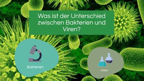Was Ist Der Unterschied Zwischen Bakterien Und Viren By Marieluise