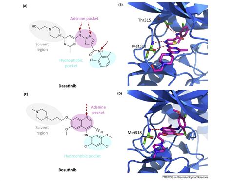 FDA Approved Small Molecule Kinase Inhibitors Trends In
