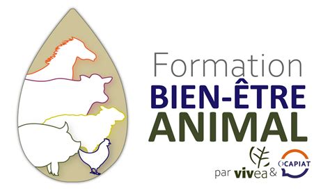 Formation Référent BienÊtre Animal Formation en ligne certifiante