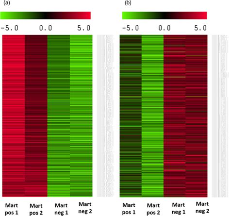 Heat Maps Of The Most Upregulated DEGs A And The Most Downregulated