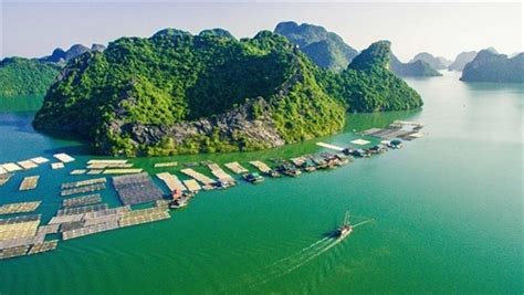Quần thể Vịnh Hạ Long quần đảo Cát Bà là Di sản Thiên nhiên thế giới