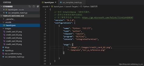 如何解决vscode中argparse配置问题？ 在vscode中如何解决 argparse参数配置 csdn博客