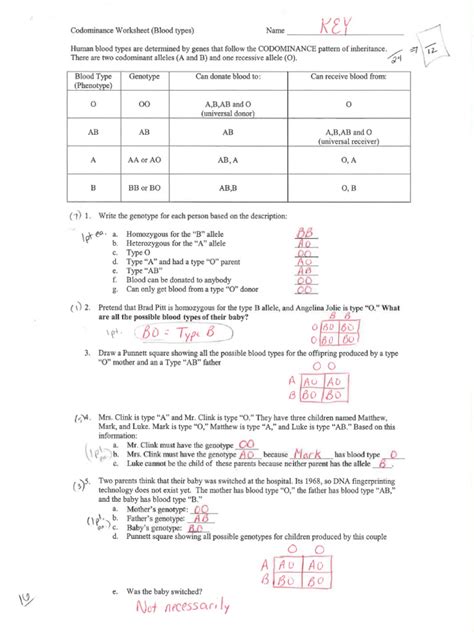 Bloody Punnett Squares Answer Key Fill Online Printable