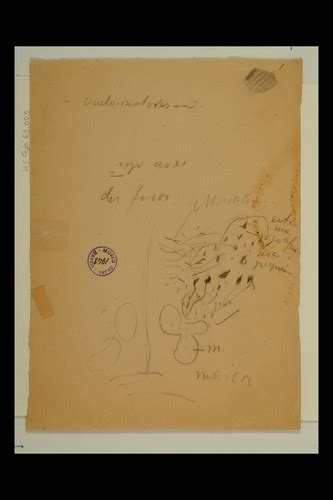 Simurg Vista Dibujo Cient Fico De Santiago Ram N Y Cajal Esquema