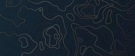 Luxury Gold Abstract Line Art Background Vector Mountain Topographic
