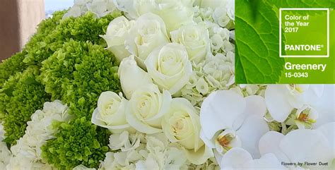 Greenery Pantone Color Of The Year 2017