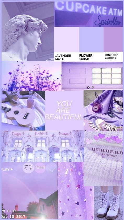 Purple Aesthetic Lavender Flowers Pantone Aesthetic Wallpapers