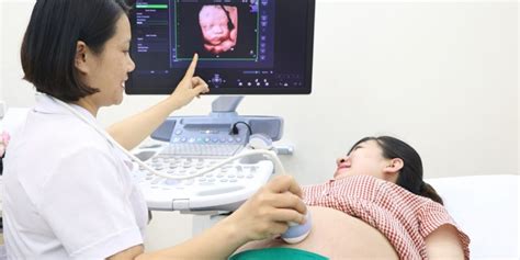 Thai 15 tuần biết trai hay gái chưa Cách xác định giới tính thai nhi