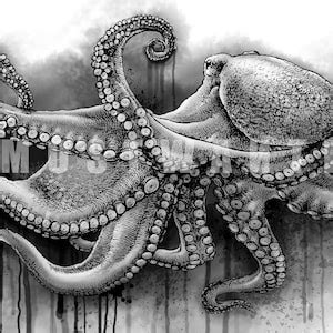 Framed Poster Inky Octopus Pen Ink Drawing With Watercolor Etsy